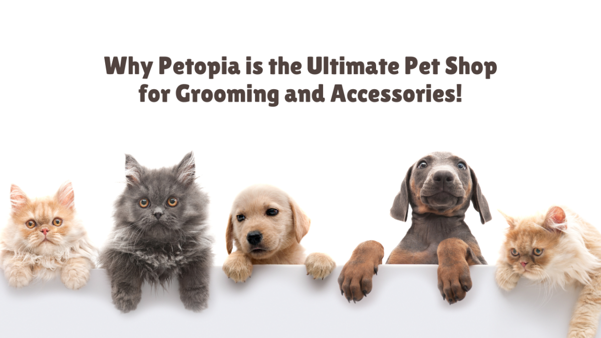 Blog - Petopia