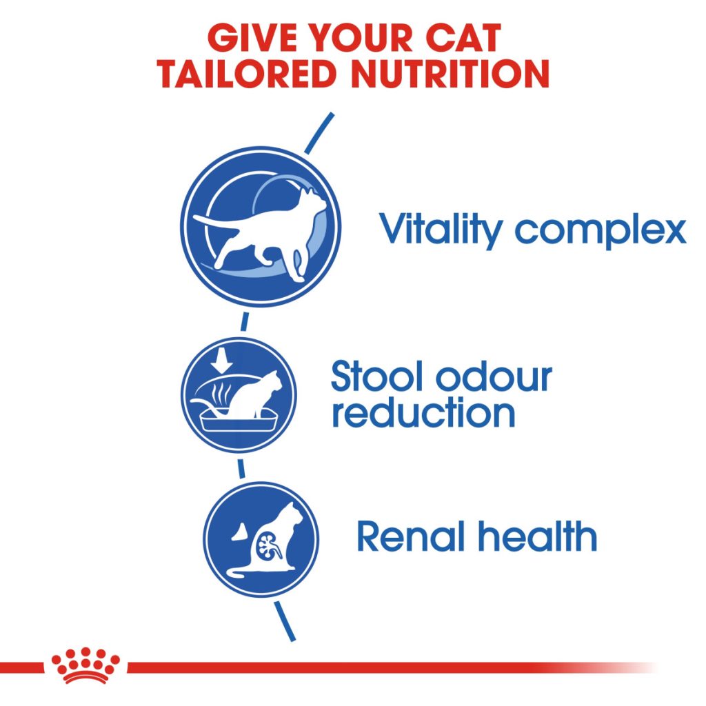 Royal Canin Home Life Dry Food for Indoor Cats (7+ Years) 3.5 kg - Petopia